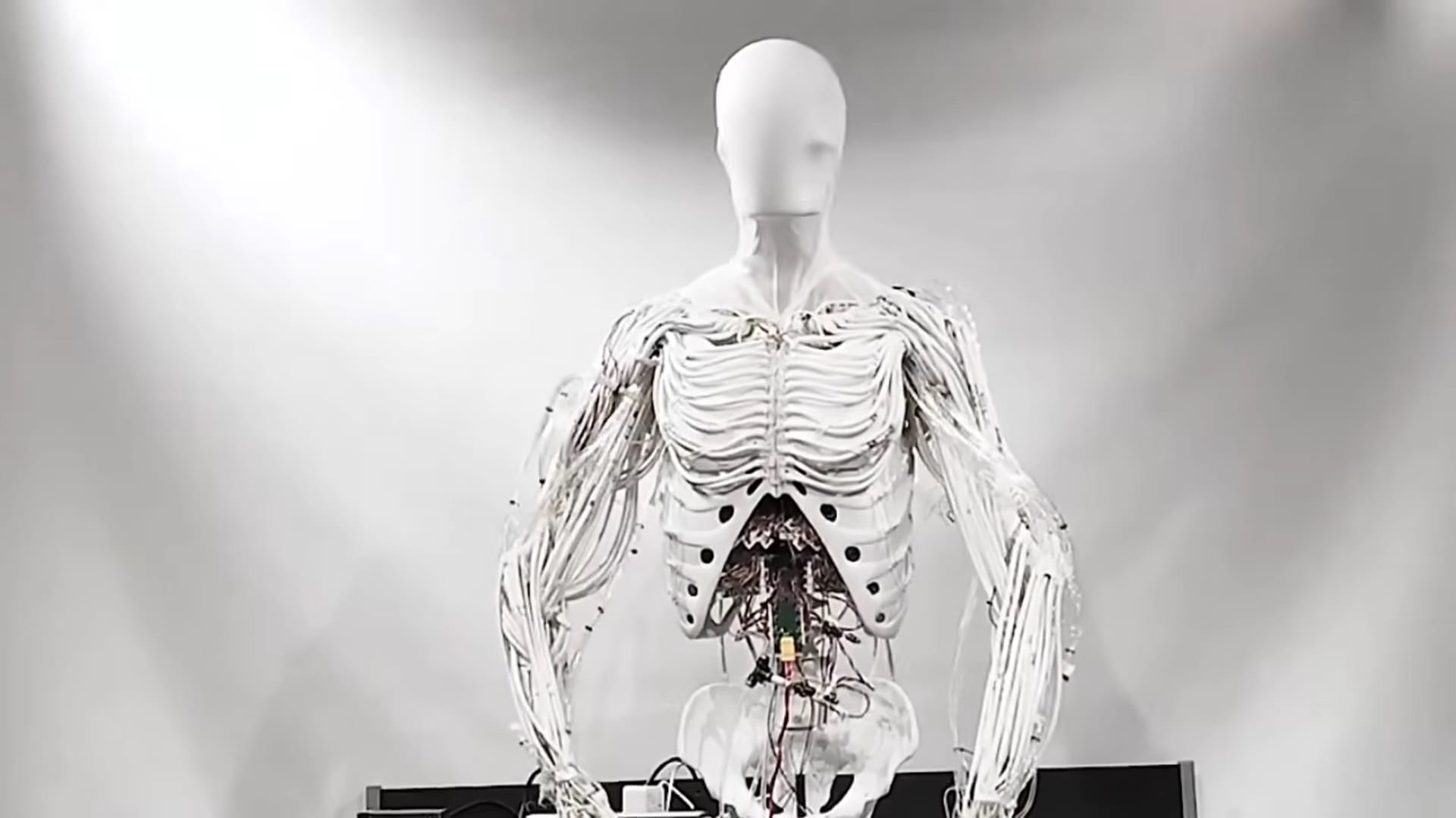 Szintetikus szervekkel és izmokkal "utánozza" az emberi testet a ...